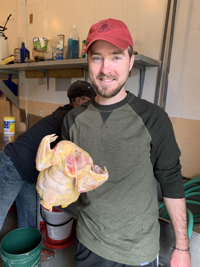 A Story about A Farm Part 2: In Which a Lot of Chickens Die – Friendly ...